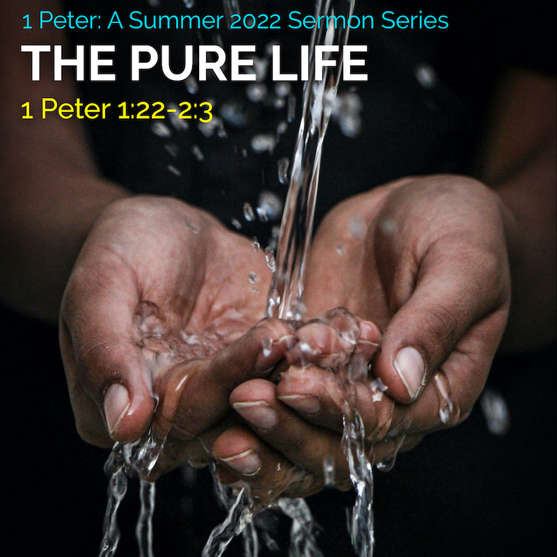 The Pure Life (1 Peter 2:2-2:3) - Northminster Evangelical Presbyterian ...